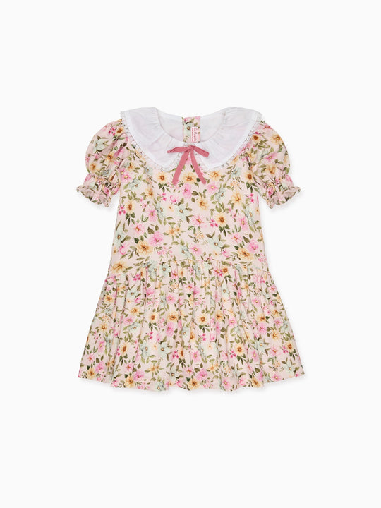 Light Pink Floral Izara Girl Drop Waist Dress | La Coqueta US – La ...